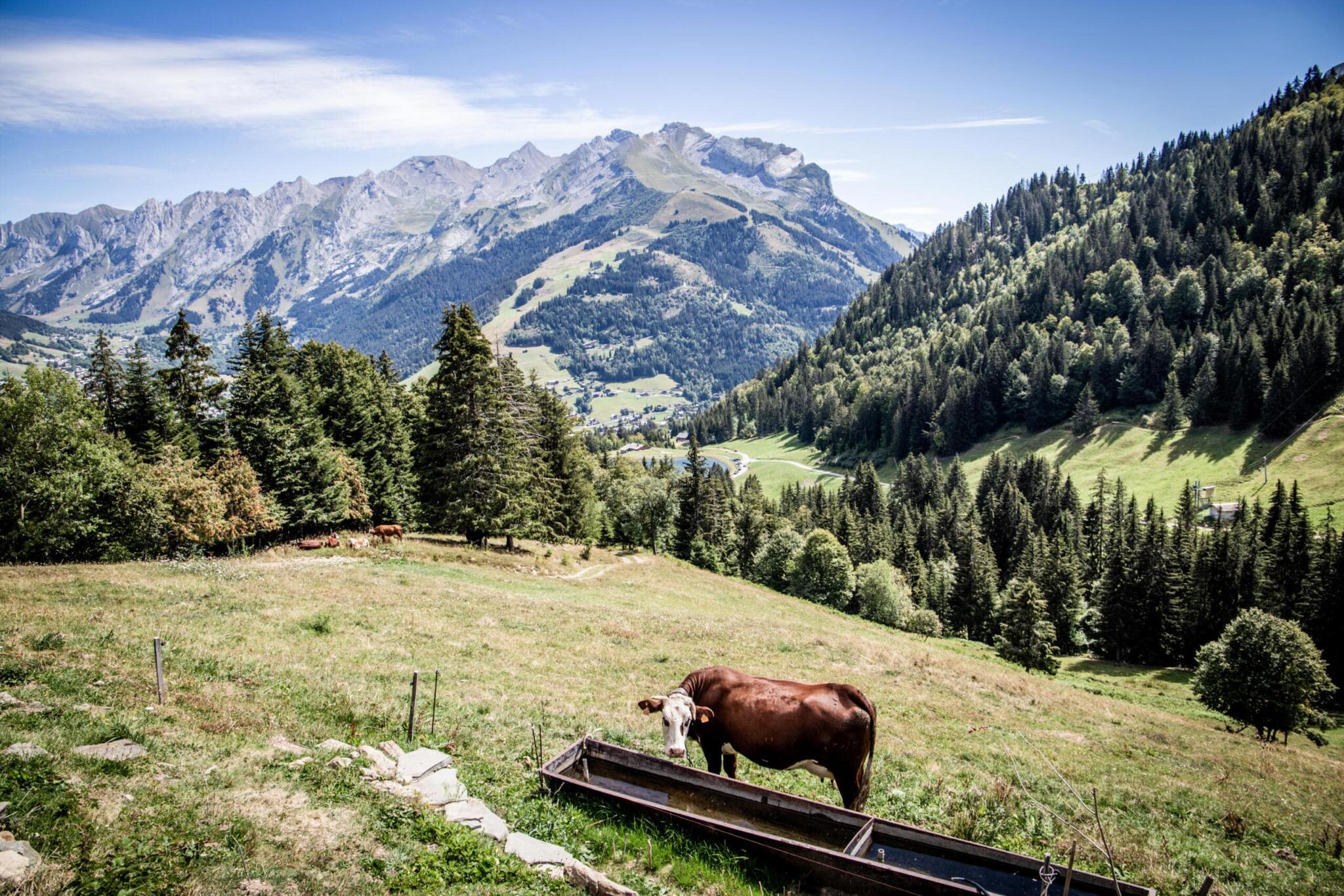Randonnée facile à La Clusaz | Les meilleures vues sans transpirer